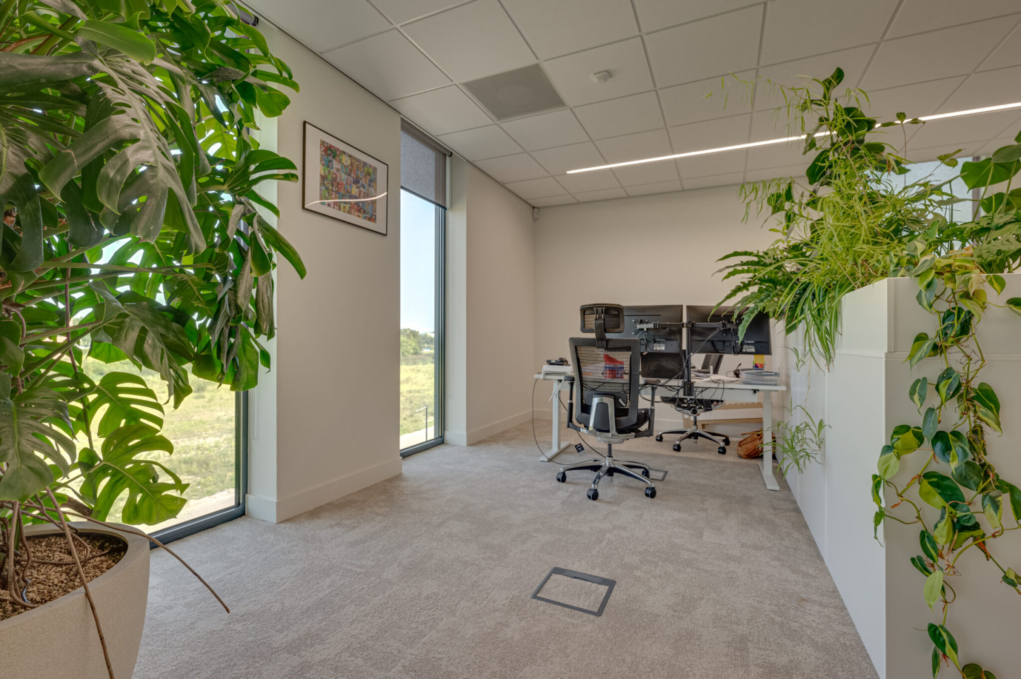 LuxImprove: De verlichtingsspecialist voor 999 Games - LuxImprove